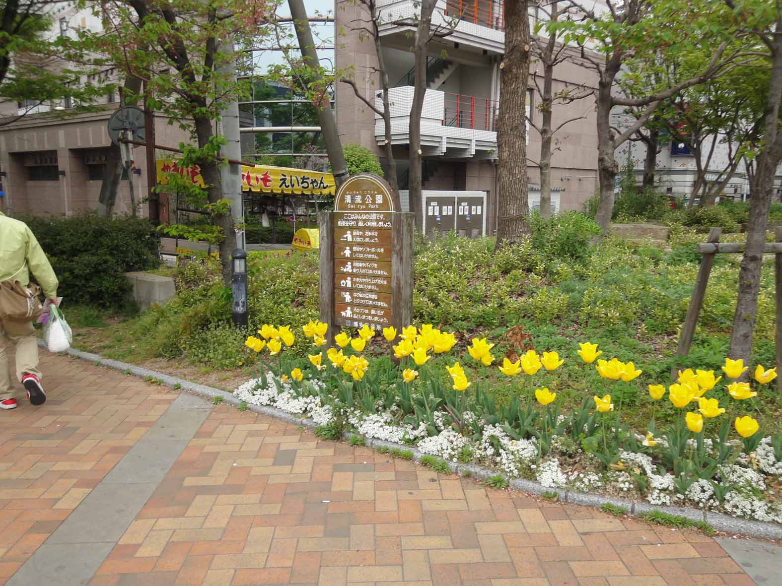 Midorimachi Jp Blog K25 E3 80 80 E6 B8 85 E6 B5 81 E5 85 Ac